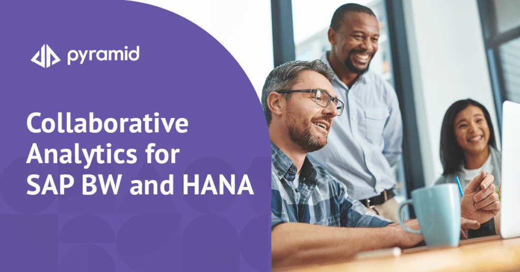 Collaborative analytics for SAP BW and HANA - Pyramid Analytics